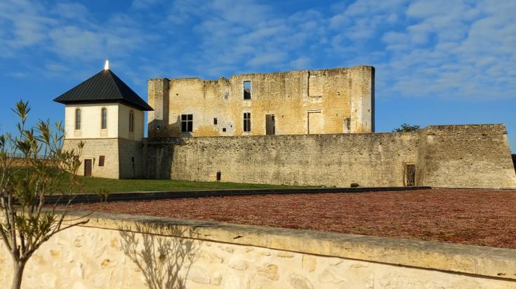 Château de Fargues, une saga familiale illustre et des vins rares ...